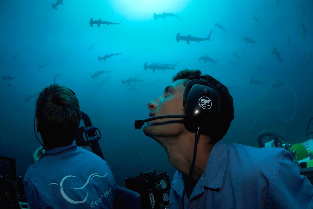SubMerge, Submarine Tours & Expeditions, Underwater ROVS, Sea Mapping